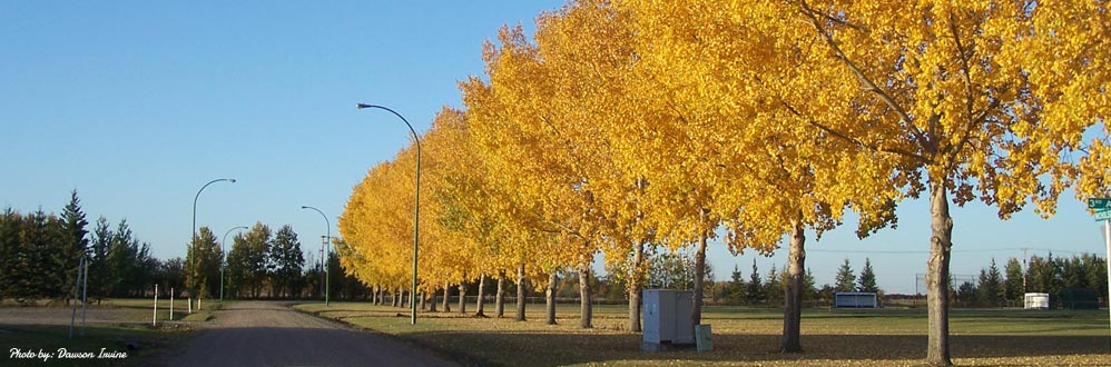 Town of Carrot River :. Saskatchewan's Outback