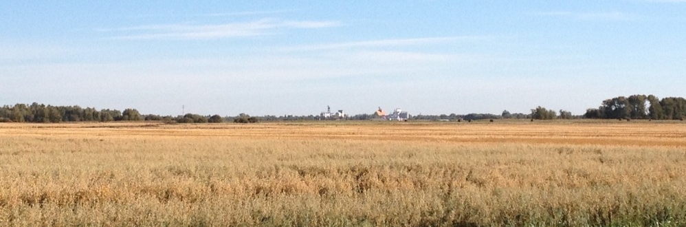 Town of Carrot River :. Saskatchewan's Outback